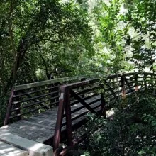 Luxury Apartments in Temple, TX | Chappell Creek Village