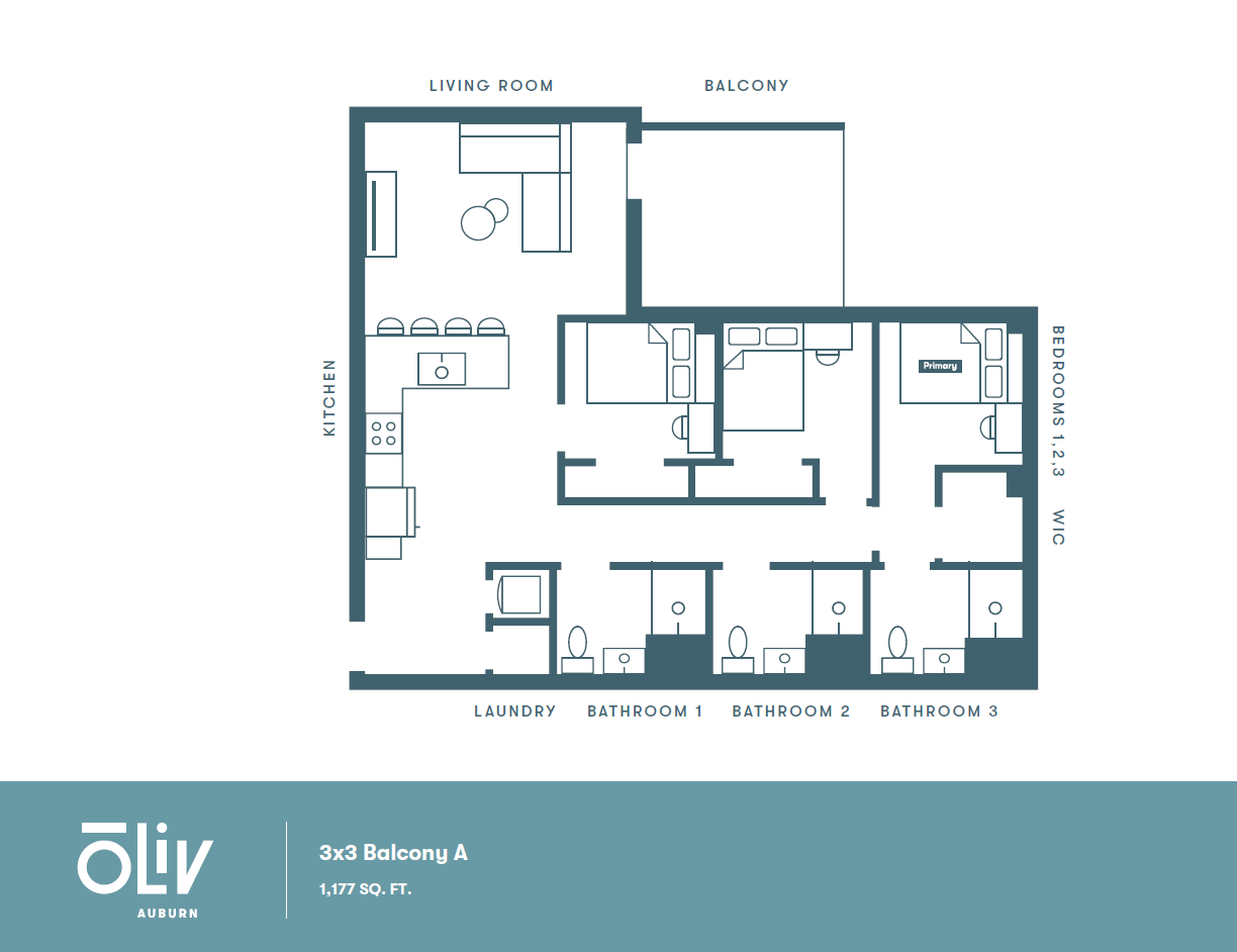 oLiv Auburn Apartment Rentals