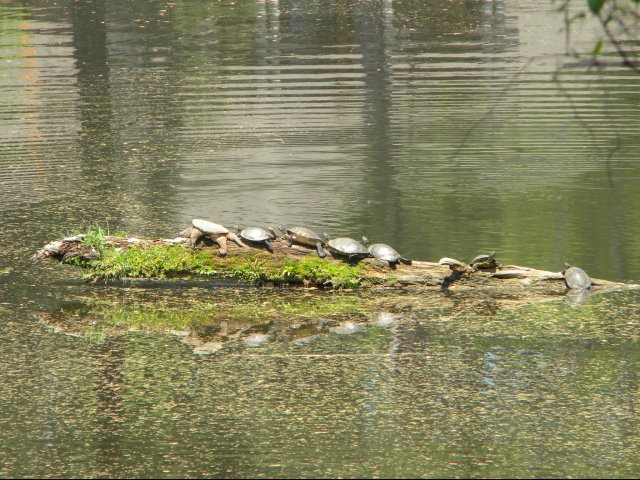 View Photos | Spring Lake Point