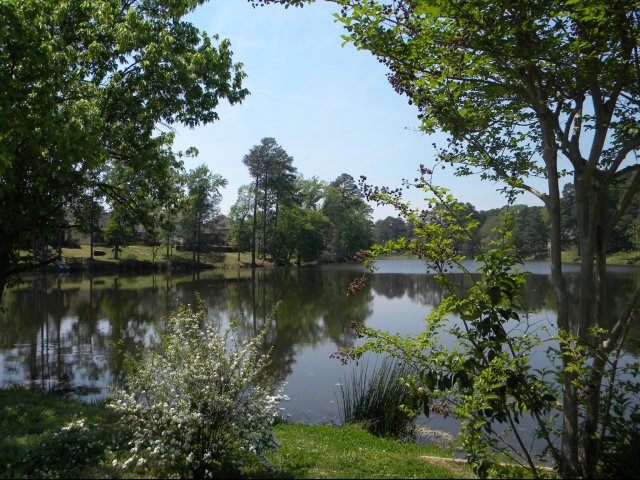 View Photos | Spring Lake Point