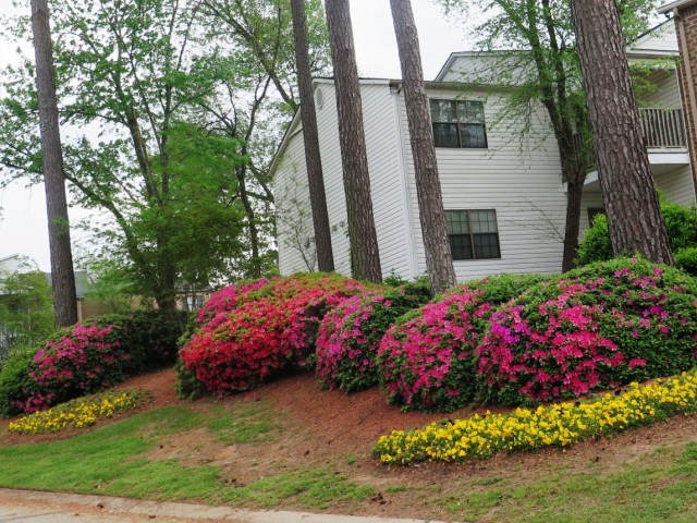 View Photos | Spring Lake Point