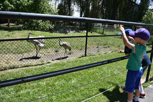 15 Cache Valley Attractions