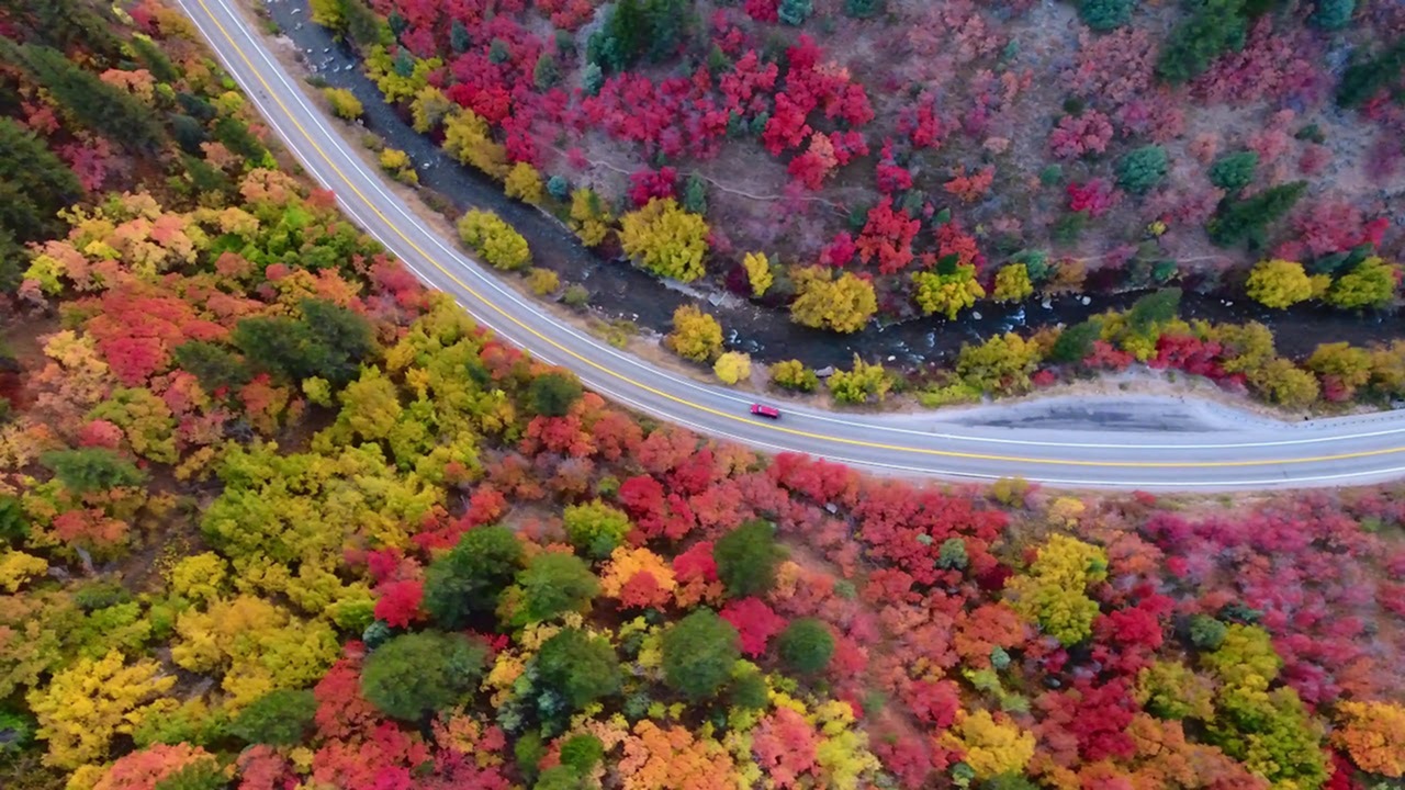 Exploring the Magic of Fall in Logan, Utah