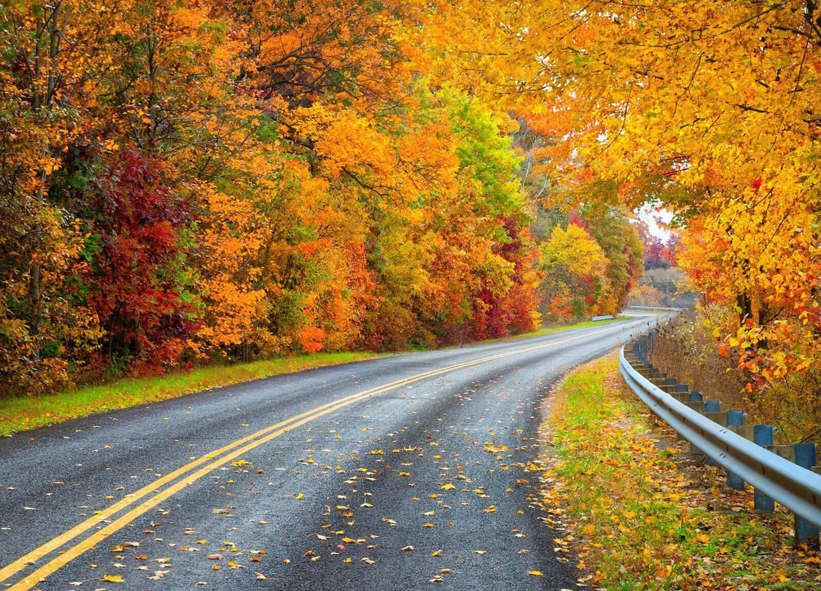 Discover the Magic of Fall in Idaho Falls
