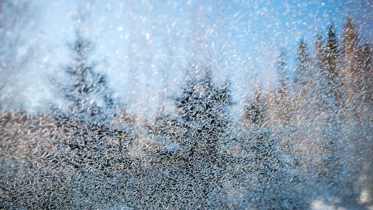 Winter Maintenance Tips Every Apartment Resident Should Know