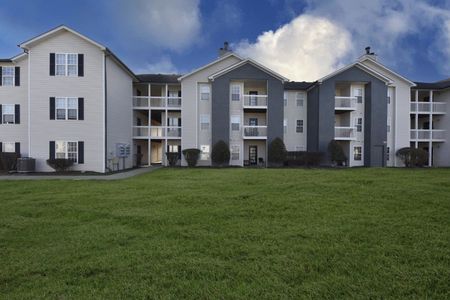 View Photos & Take A Virtual Tour | The Adler Apartment Homes