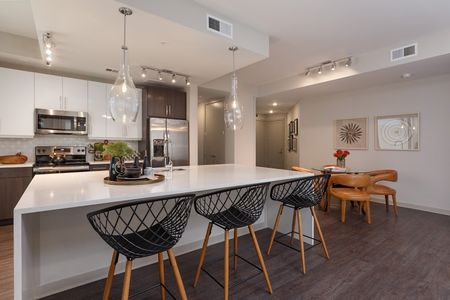 Luxury Living Photo Gallery — The Marlowe, Austin, TX