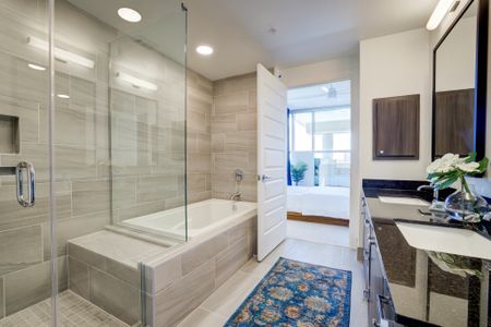 Downtown Austin, TX Luxury Apartment Photos | Alexan Waterloo