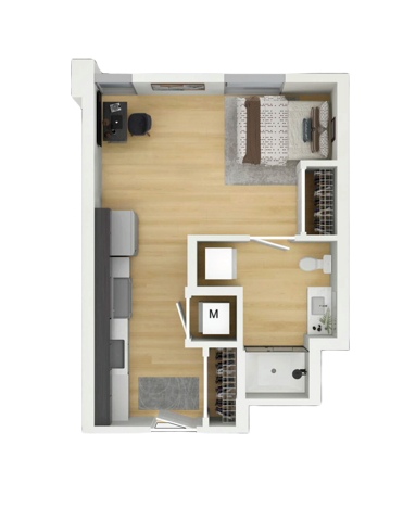 Icon at Austin Apartment Rentals