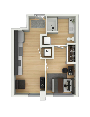 Icon at Austin Apartment Rentals