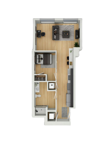 Icon at Austin Apartment Rentals