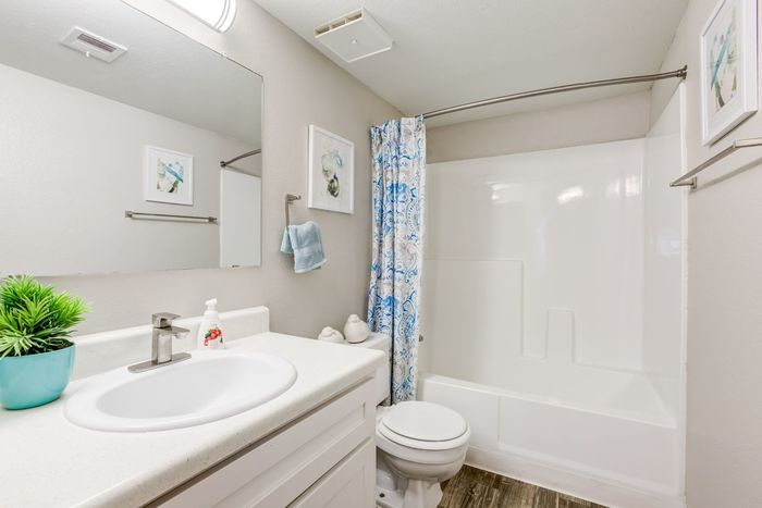 Photos | Argenta Apartments For Rent In Mesa, AZ