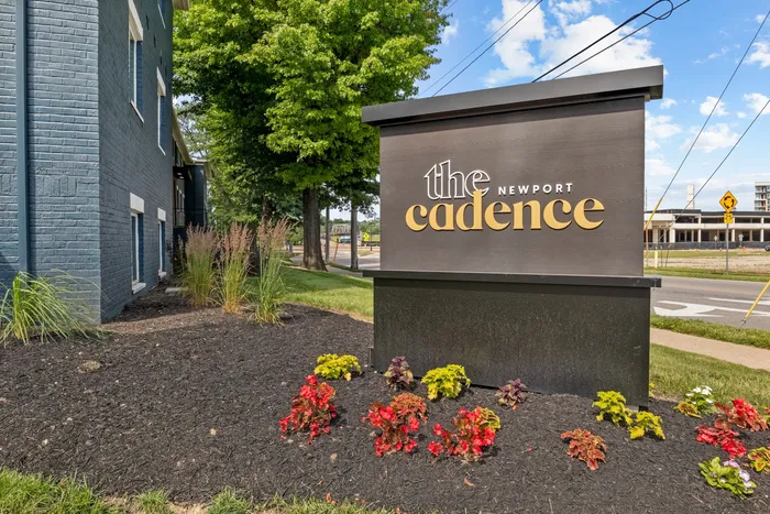 Photos & 3D Tours | Gallery | Newport Apartments for Rent | The Cadence
